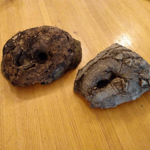Hand Crafted | Accents | 2 Real Wood Tree Burls Knots Fairy Garden ...